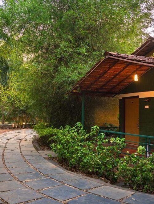 Riverfront Resort Dandeli old – Dandeli Jungle Retreat
