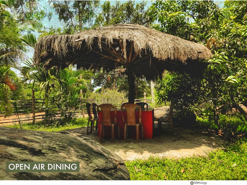Riverfront Resort Dandeli old – Dandeli Jungle Retreat